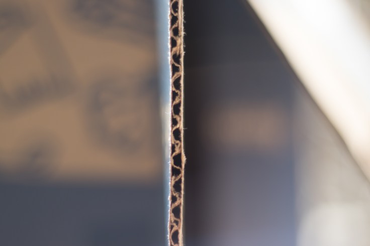 Waste Not, Want Not – Cardboard, the Ultimate Building Material – For ...